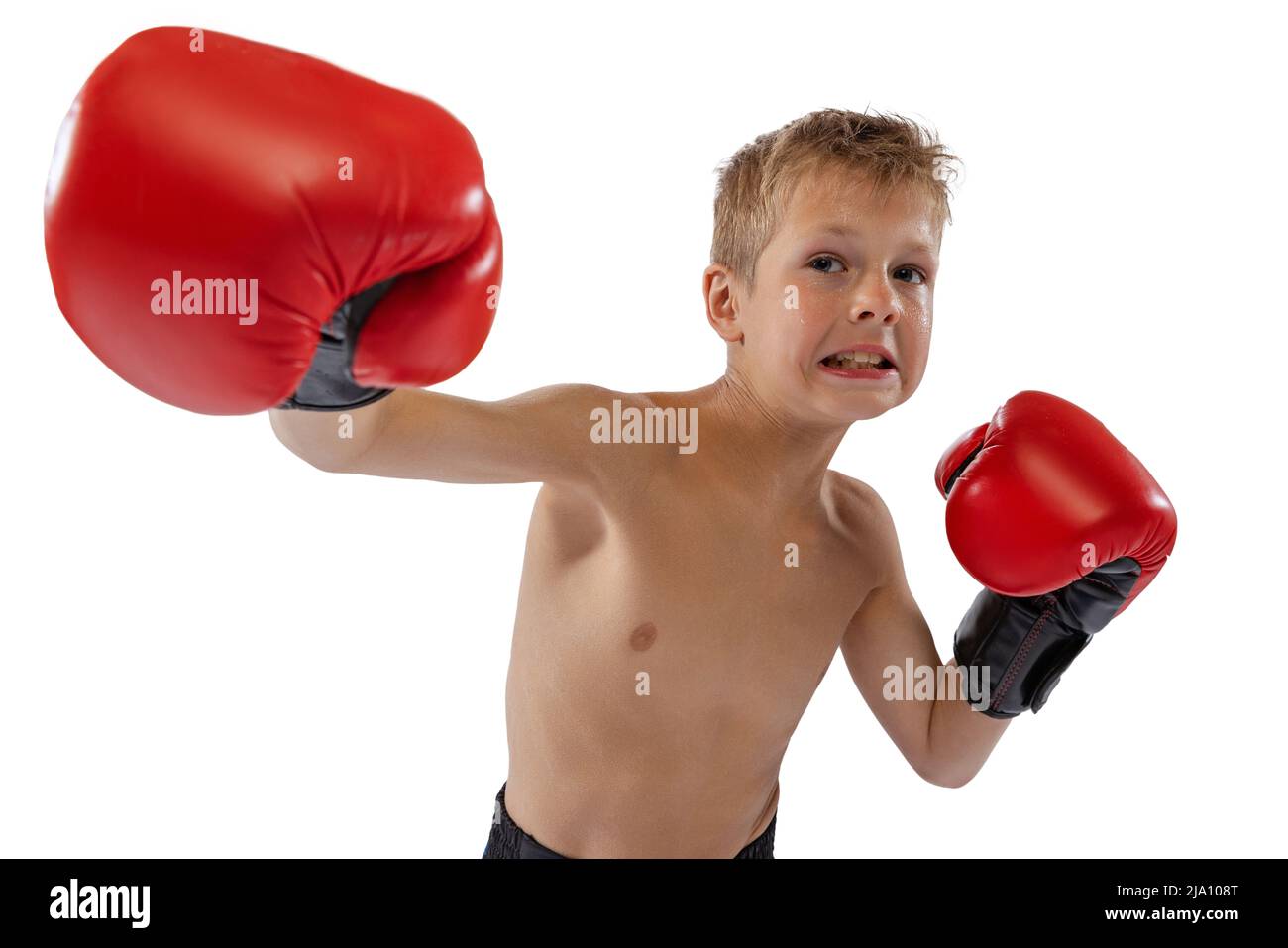 Closeup image of little male boxer in red boxing gloves posing isolated ...