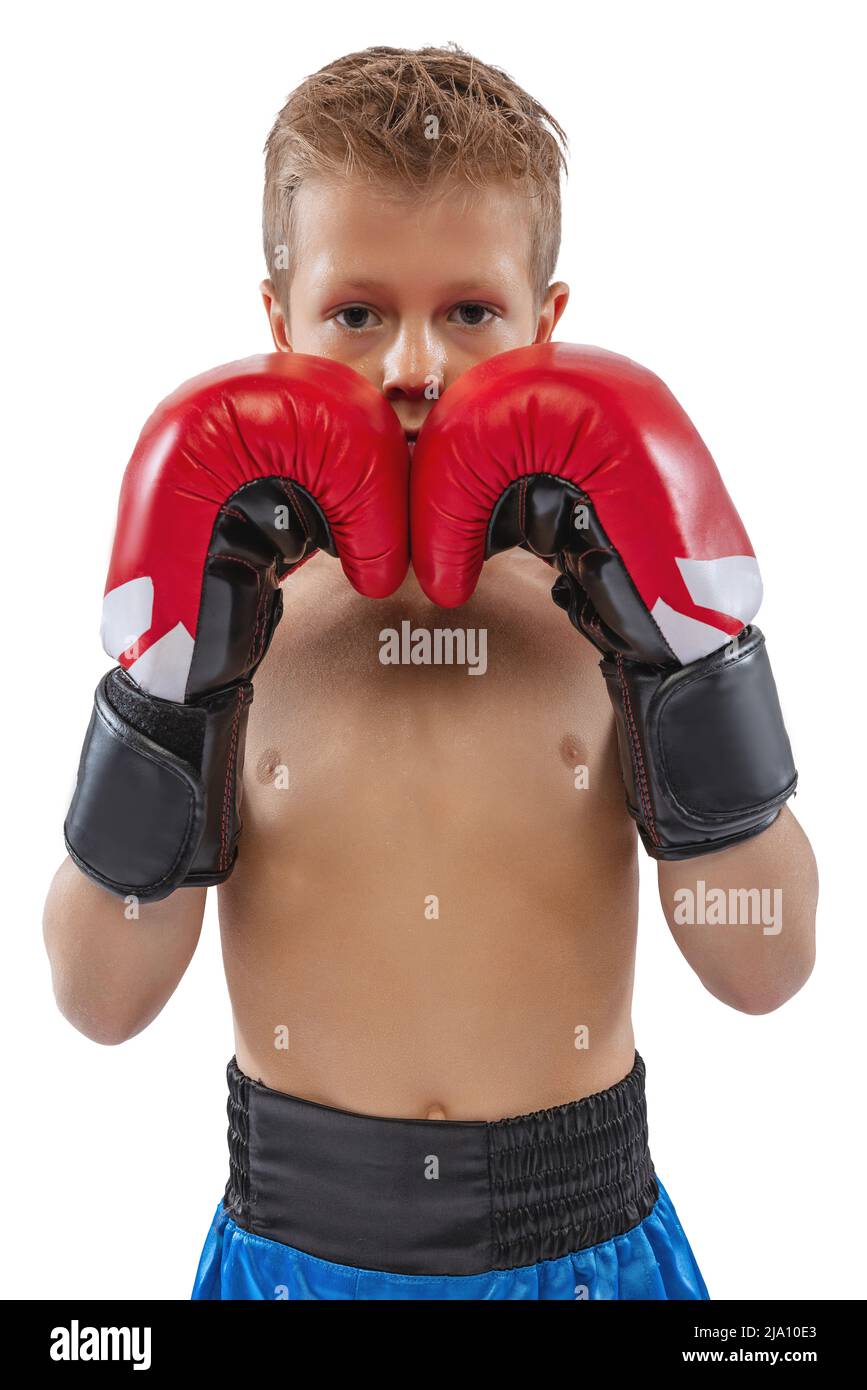 Closeup image of little male boxer in red boxing gloves posing isolated ...