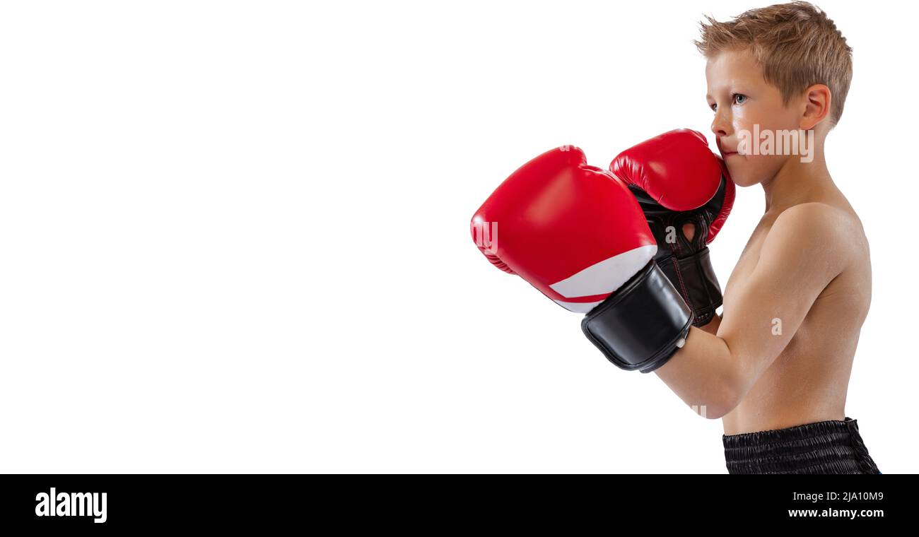 Closeup image of little male boxer in red boxing gloves posing isolated ...