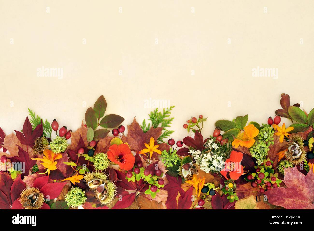 Harvest Border Paper