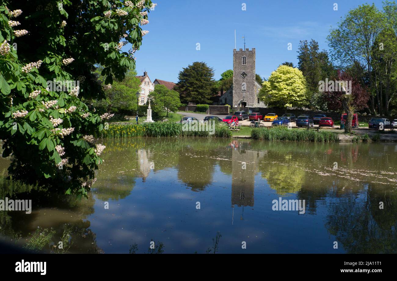Church of St Mary and Duck Pond in the village of Buriton which enjoys ...