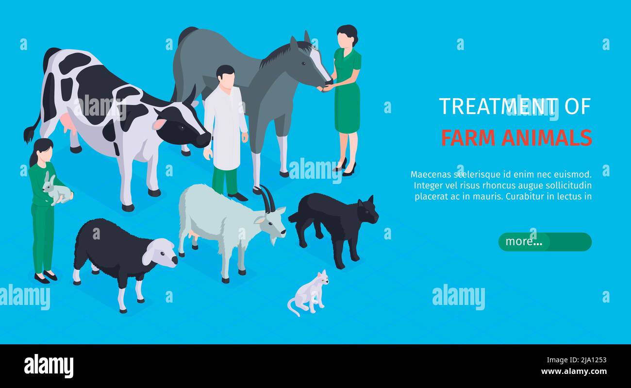 Treatment of farm animals horizontal web banner with veterinarians who ...