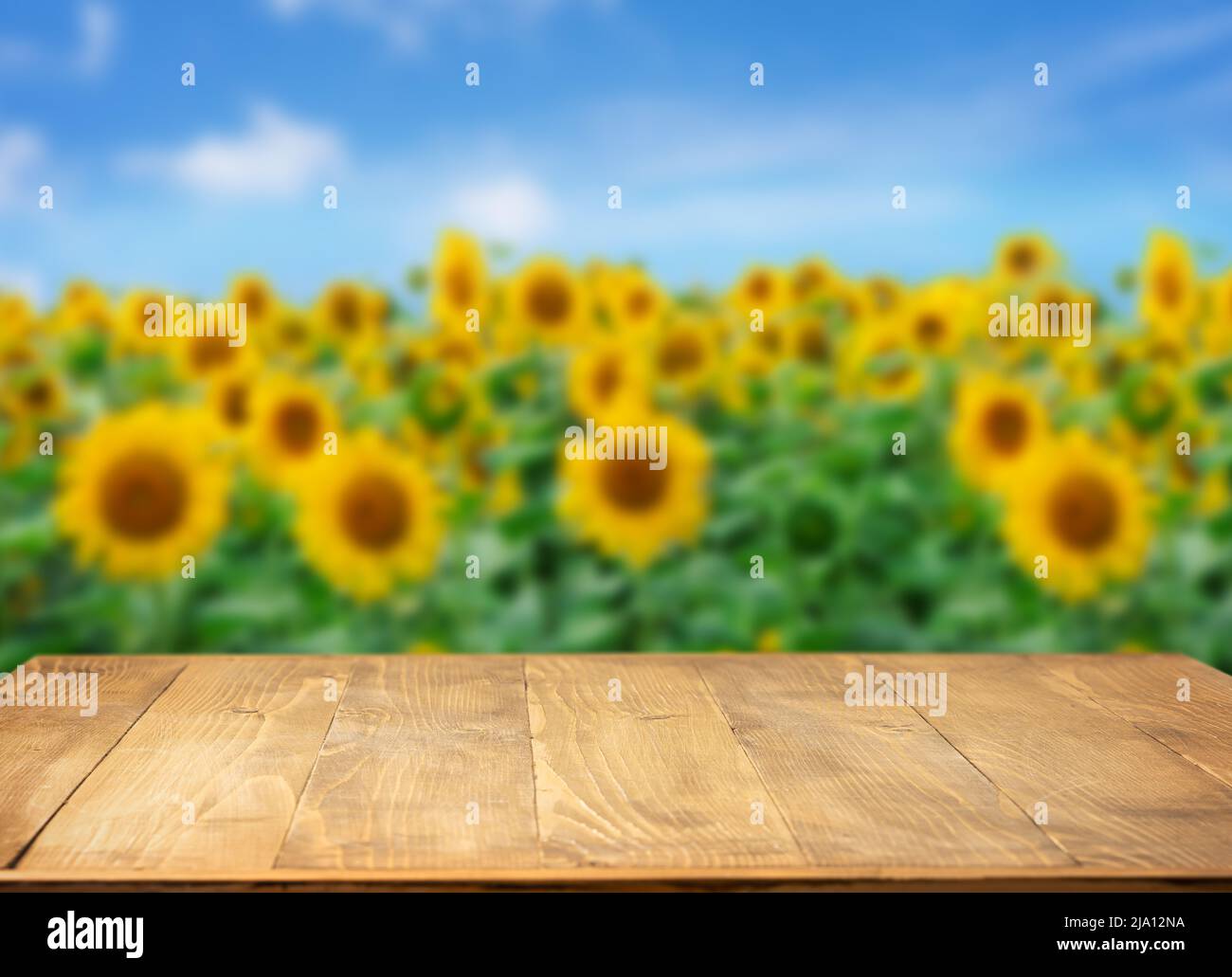 Sunflower surface hi-res stock photography and images - Alamy