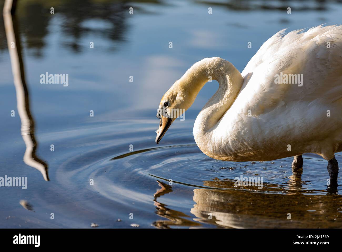 Crawley, West Sussex, UK Local Area Photography Stock Photo - Alamy