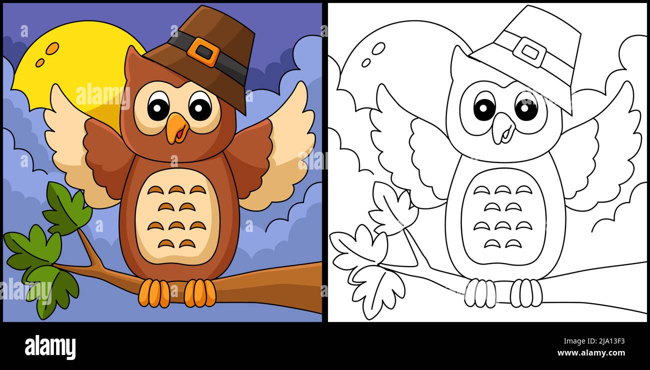 Thanksgiving Owl With Pilgrim Hat Illustration Stock Vector Image & Art ...