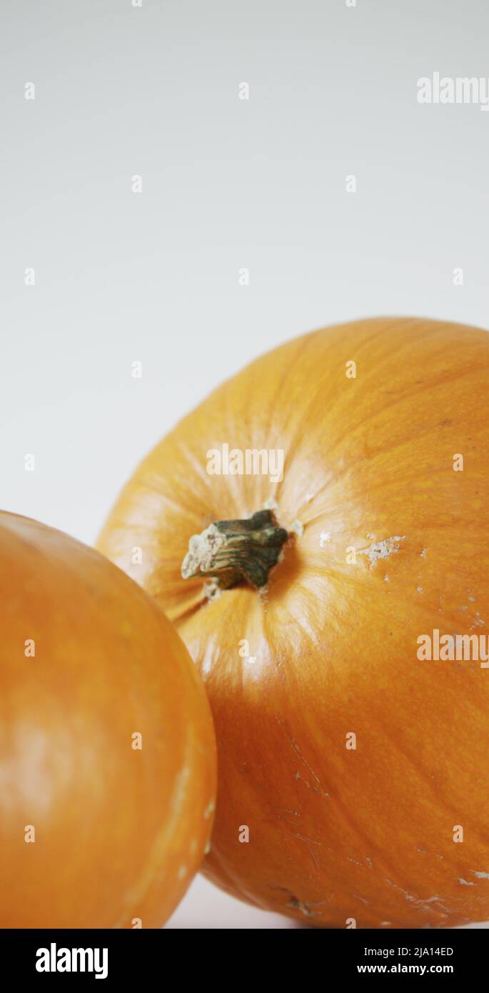 Vertical image of two large pumpkins rotating on white background Stock ...