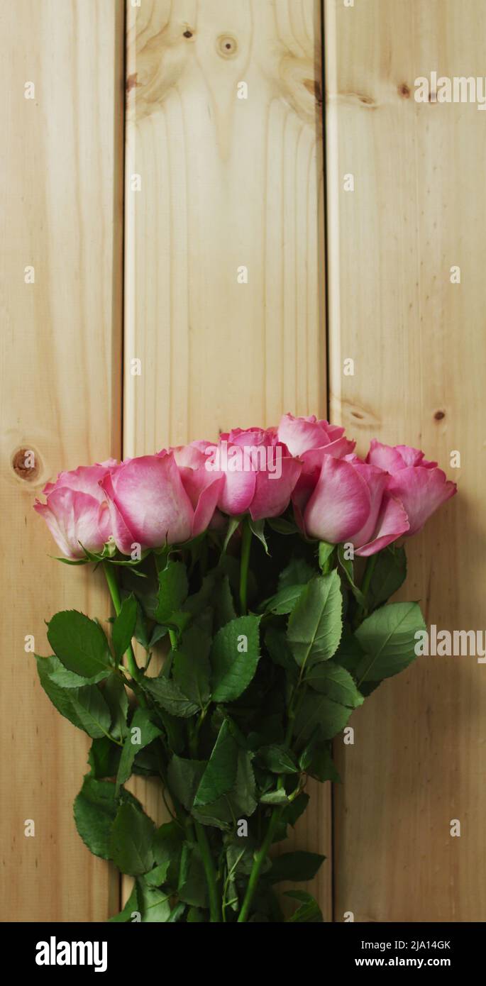 Vertical image of overhead view of bunch of pink roses on wooden boards ...