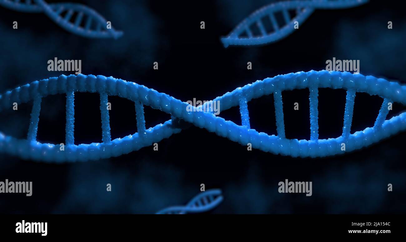 Image of macro of blue 3d dna strands spinning Stock Photo - Alamy