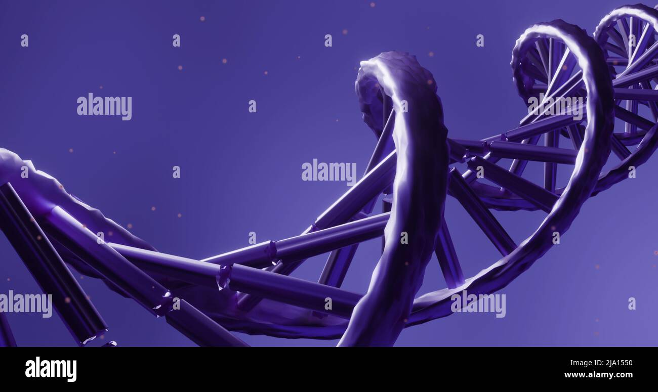 Image of macro of purple 3d dna strand spinning Stock Photo - Alamy