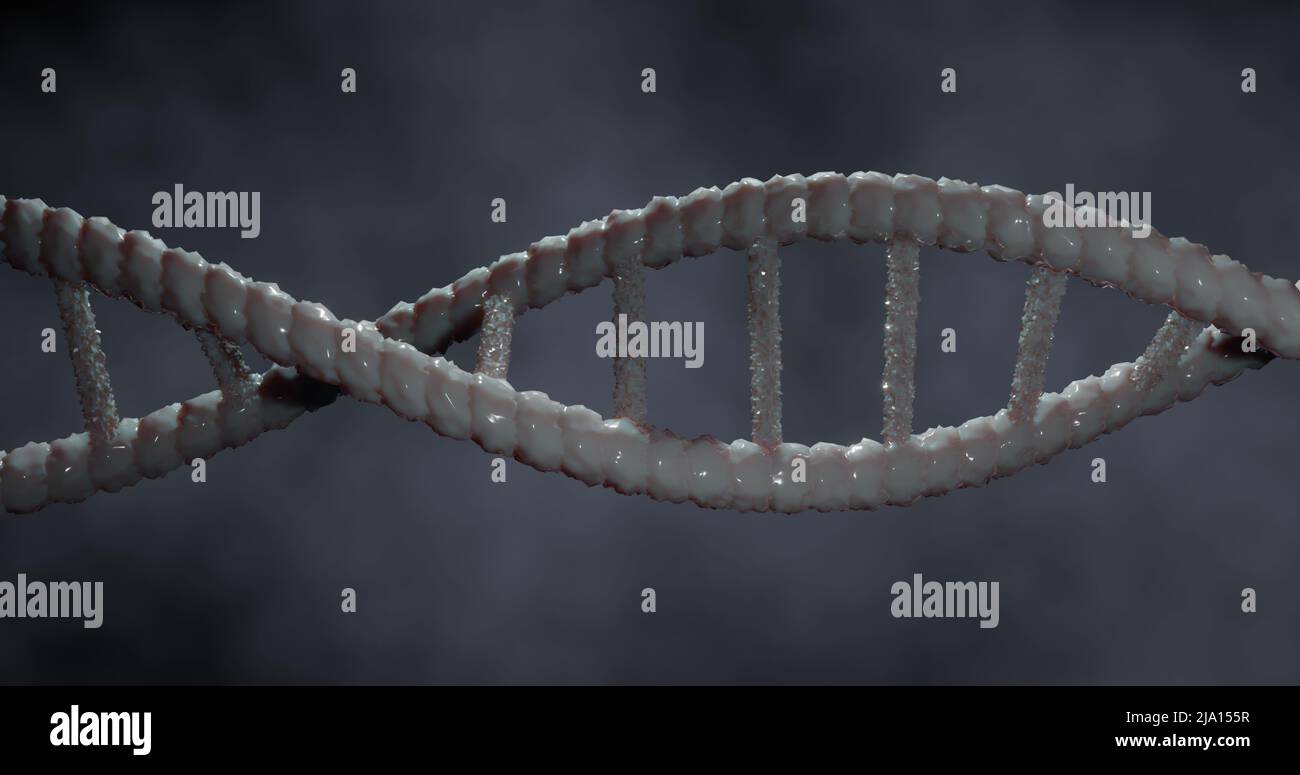 Image of macro of grey 3d dna strand spinning Stock Photo - Alamy