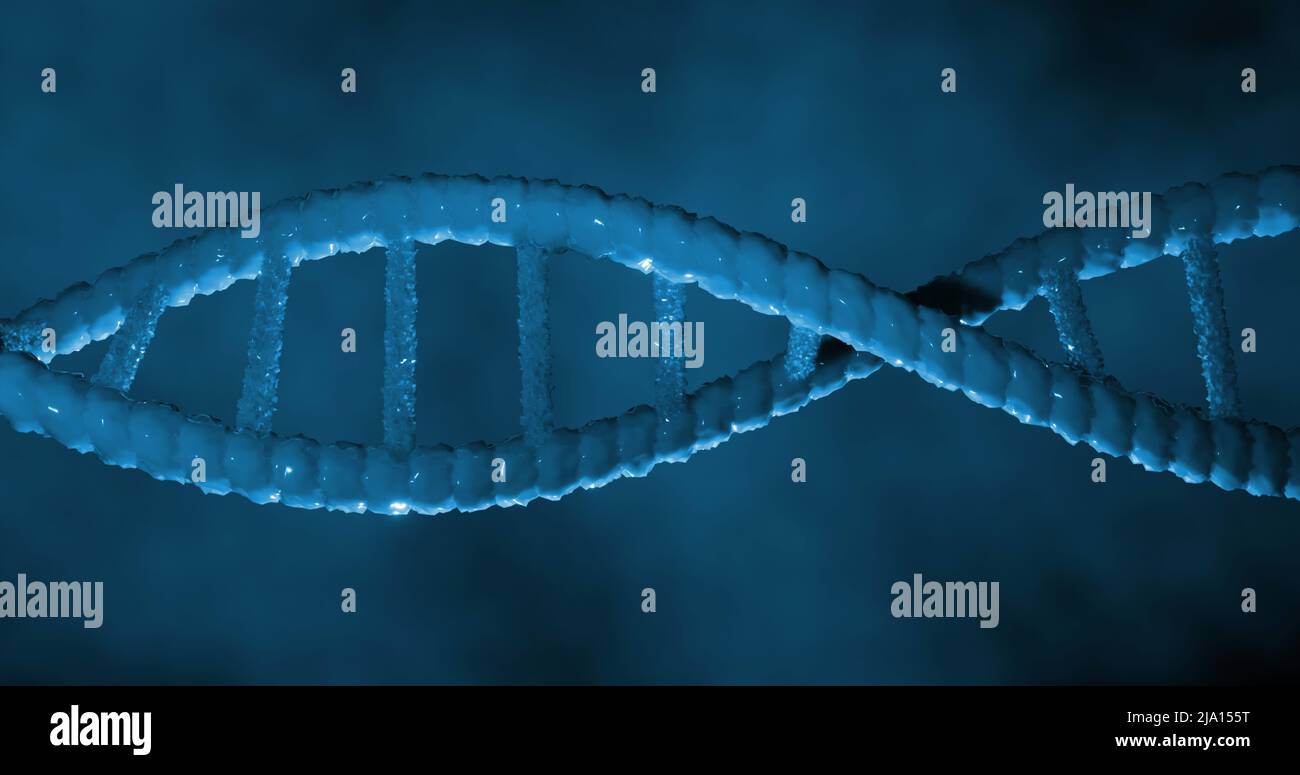 Image of macro of blue 3d dna strand spinning Stock Photo - Alamy