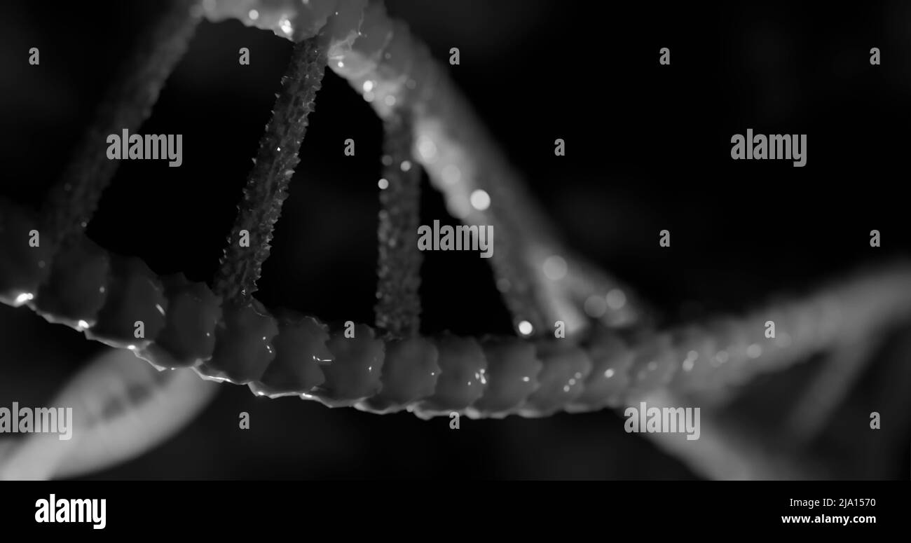 Image of macro of grey 3d dna strand spinning Stock Photo - Alamy