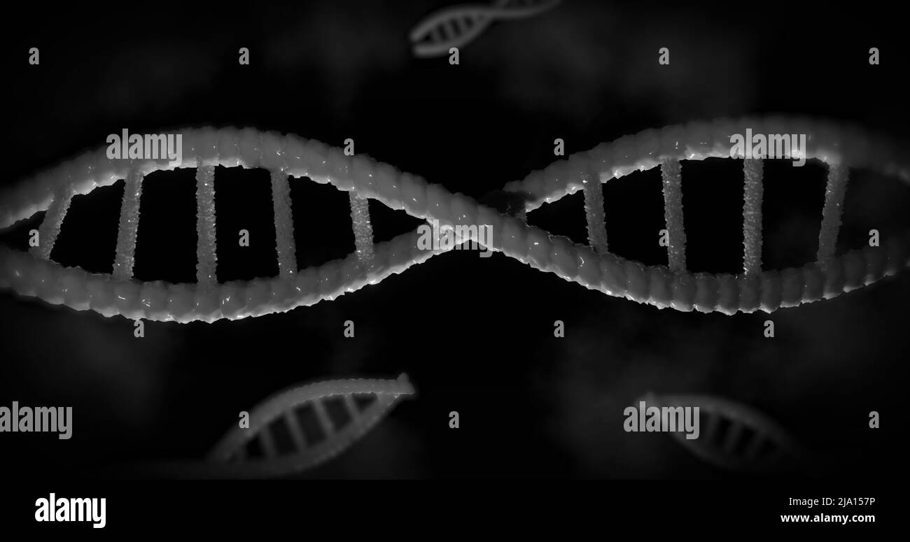 Image of macro of grey 3d dna strands spinning Stock Photo - Alamy