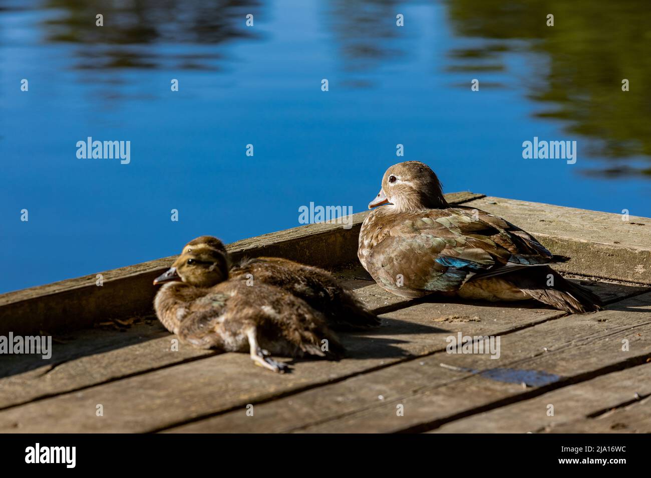 Crawley, West Sussex, UK Local Area Photography Stock Photo - Alamy