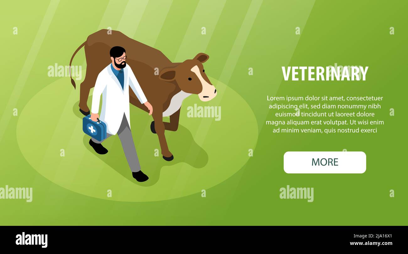 Large animals livestock veterinary horizontal isometric web banner with ...