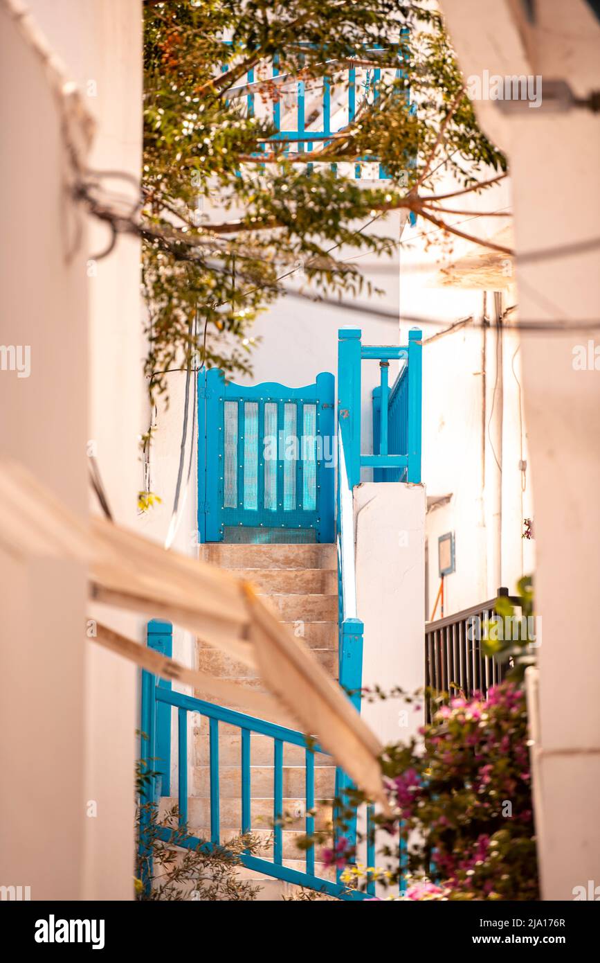 Mykonos island in Cyclades group in the Aegean Sea. summer party ...