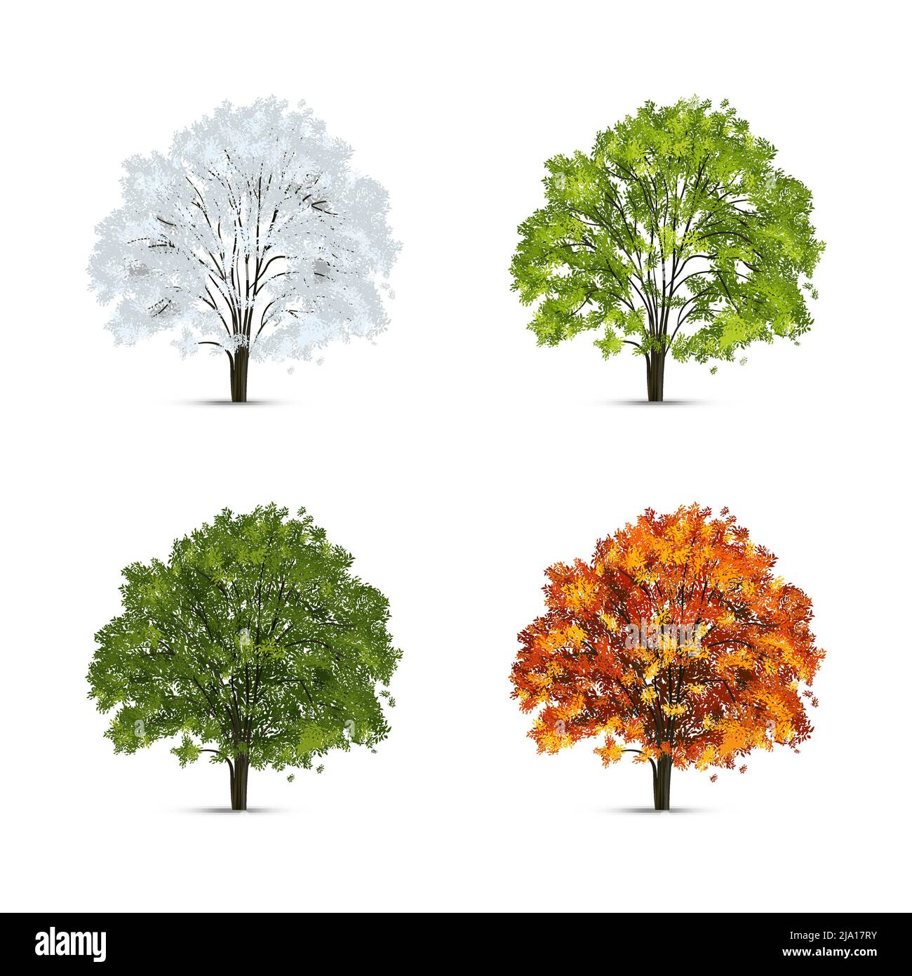 Forestry culture garden Stock Vector Images - Alamy