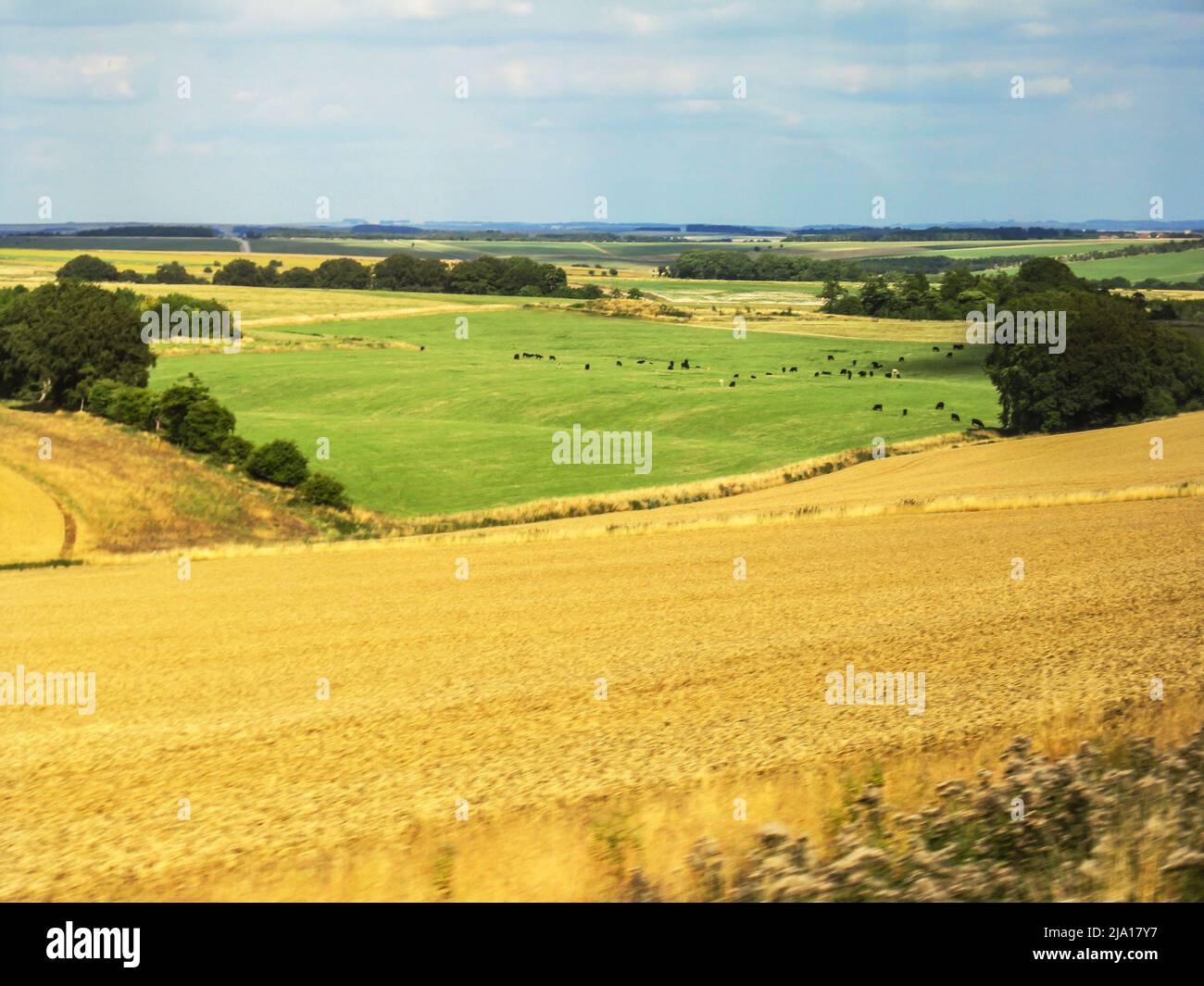 View over Agricultural fields, in late summer, in Southern England, UK ...