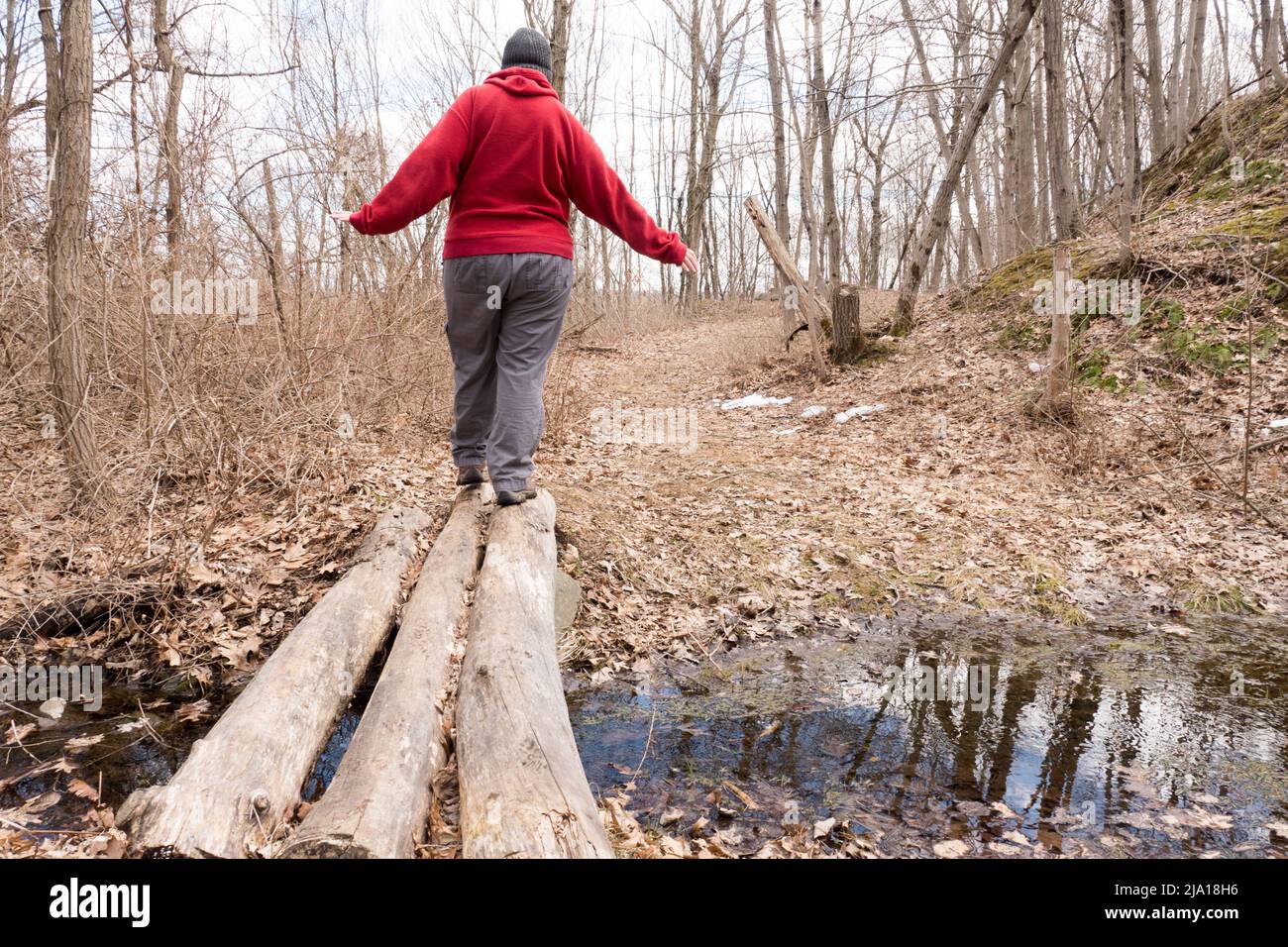 Woman hiking over a log bridge on a cloudy early spring day in New ...