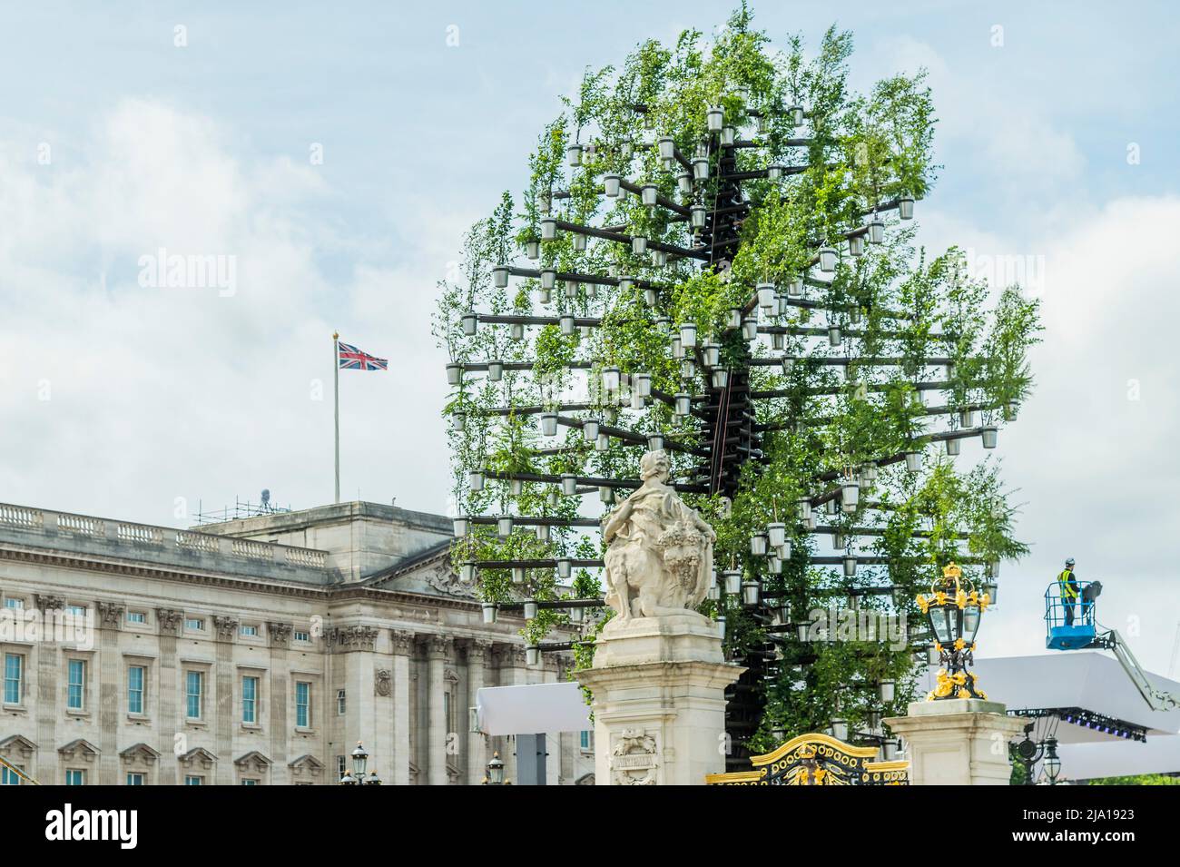 London, UK. 26th May, 2022. Workers can be seen towards the top of the tree - The 21-metre “Tree ...