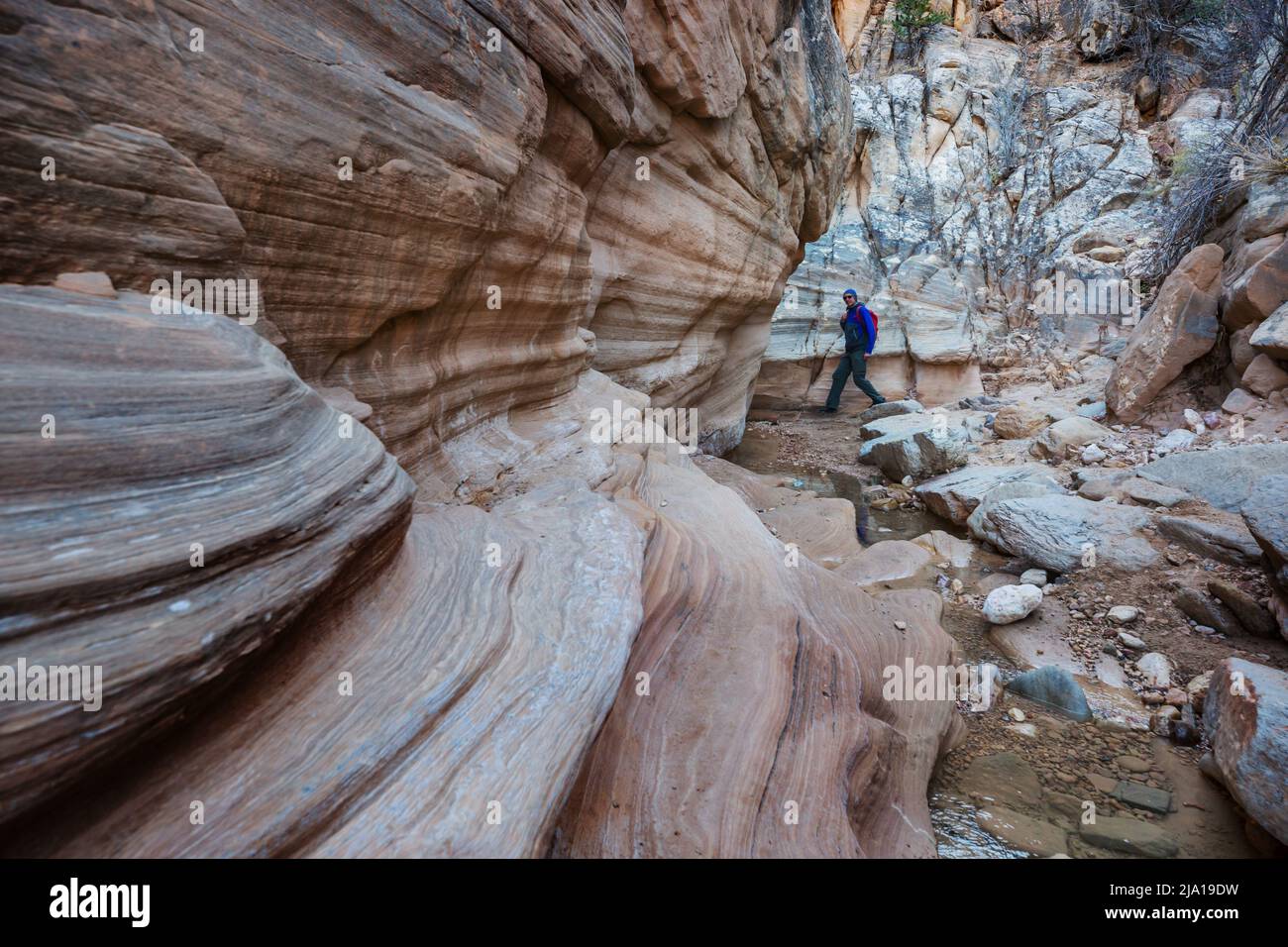 Slot canyon in Grand Staircase Escalante National park, Utah, USA ...