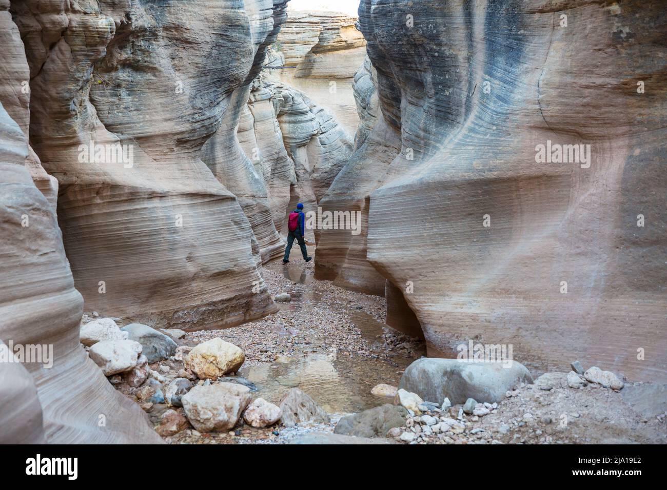 Slot canyon in Grand Staircase Escalante National park, Utah, USA ...
