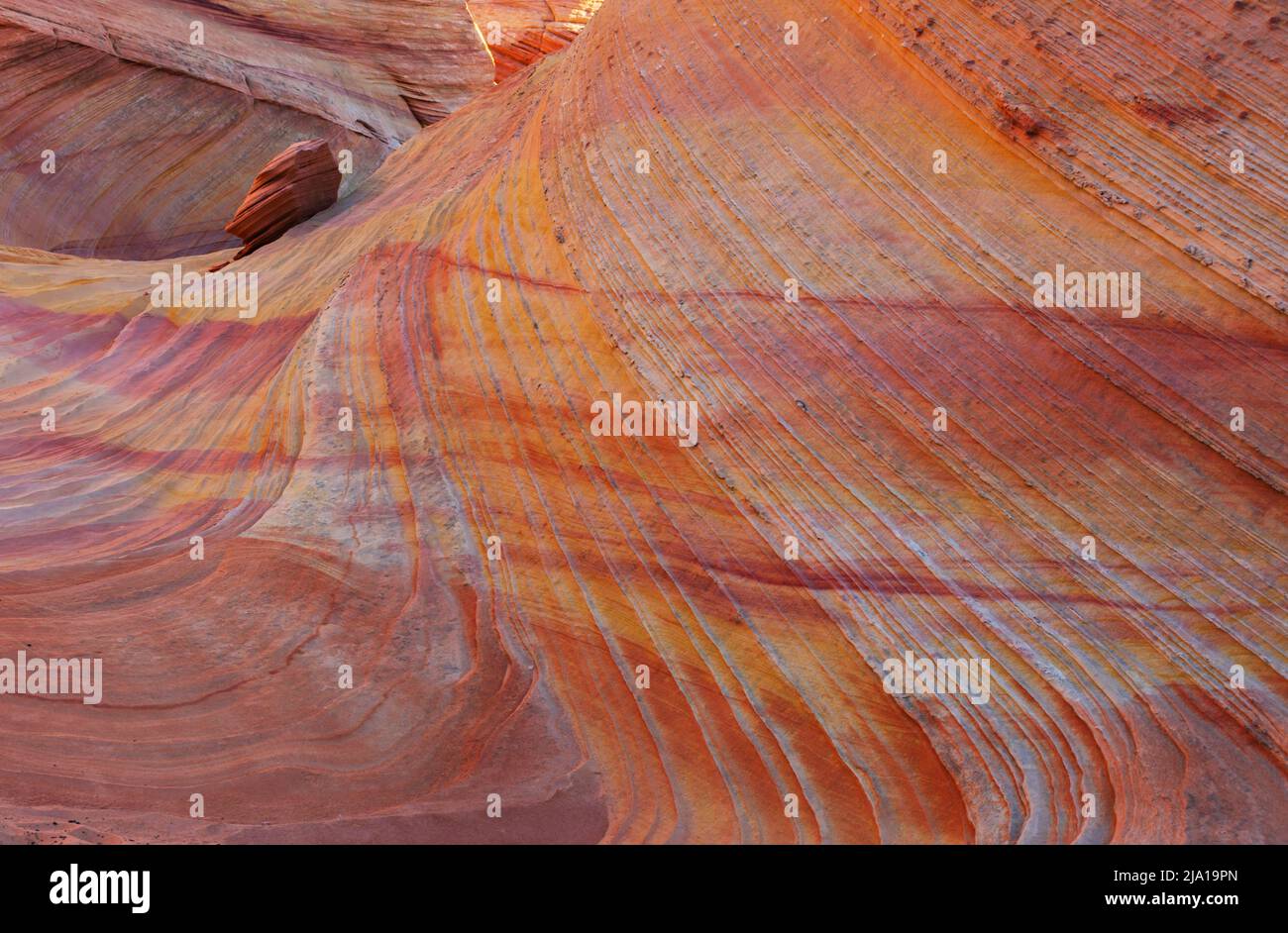 The Wave, Arizona, Vermillion Cliffs, Paria Canyon State Park in the ...