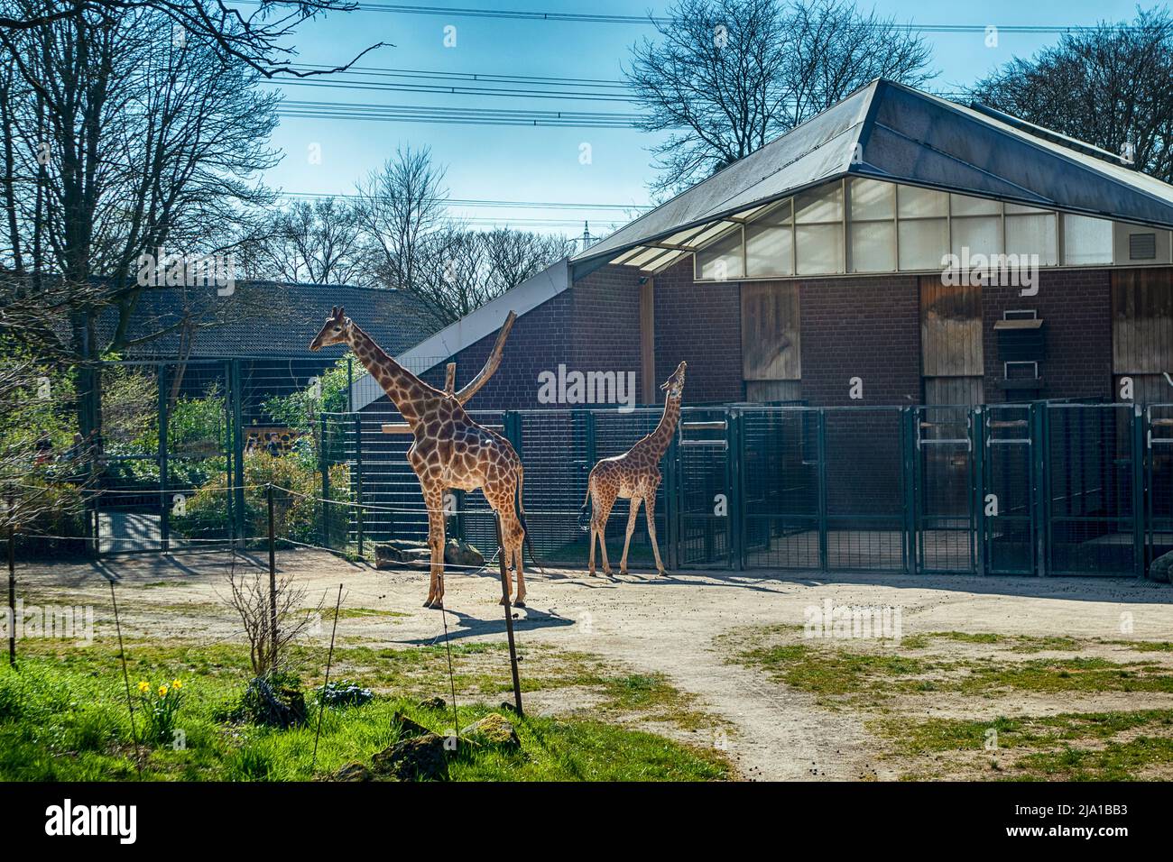 Zoo Dortmund, North Rhine-Westfalia, Germany Stock Photo - Alamy