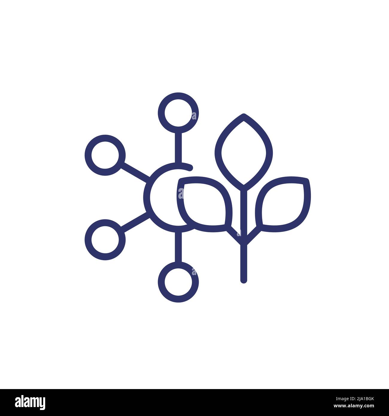 Diet vegan protein vector vegetarian source Cut Out Stock Images ...