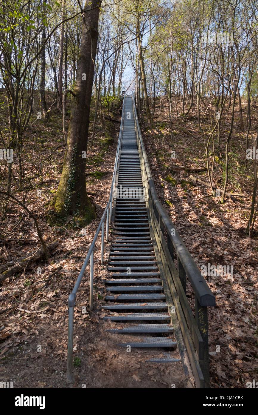 very high metal stairs in the nature reserve Stock Photo - Alamy