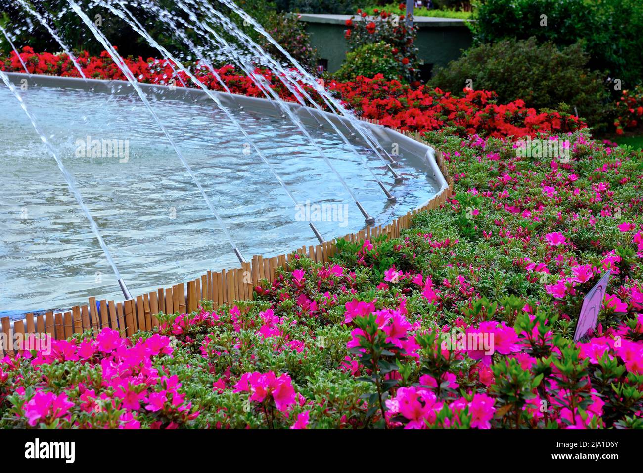 euroflora nervi parks, flower garden genoa italy Stock Photo - Alamy