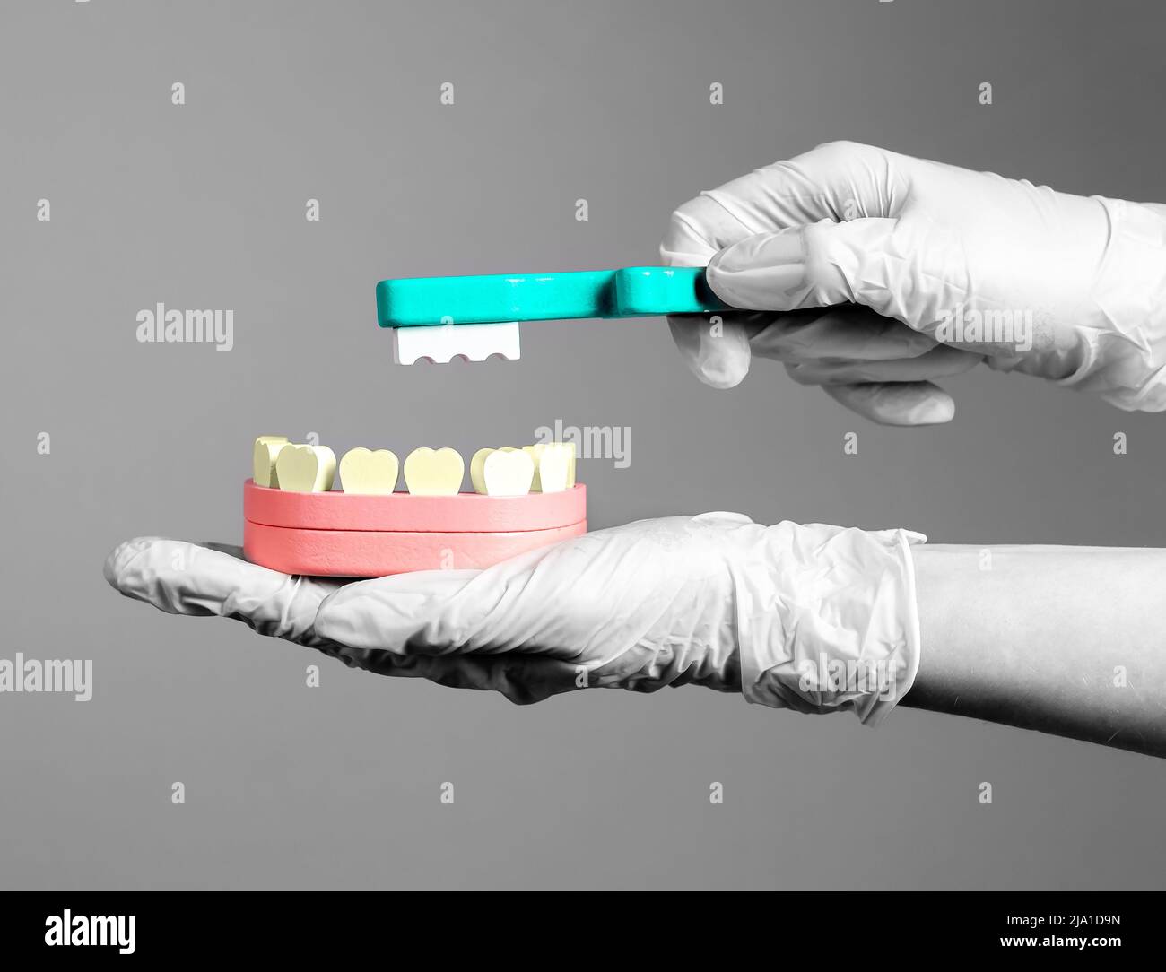 Hands in gloves with toothbrush and jaw model with yellow teeth ...