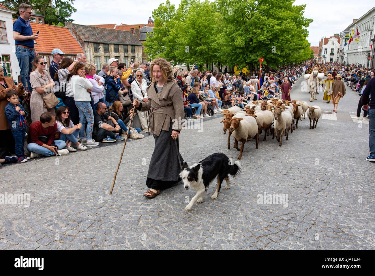 Illustration picture shows a shepherd with shepherd's dog and a herd of ...