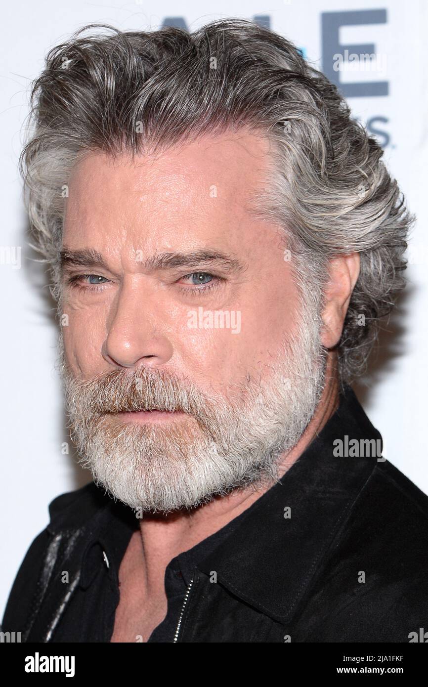 Actor Ray Liotta attends the 2014 A+E Networks Upfront at the Park ...