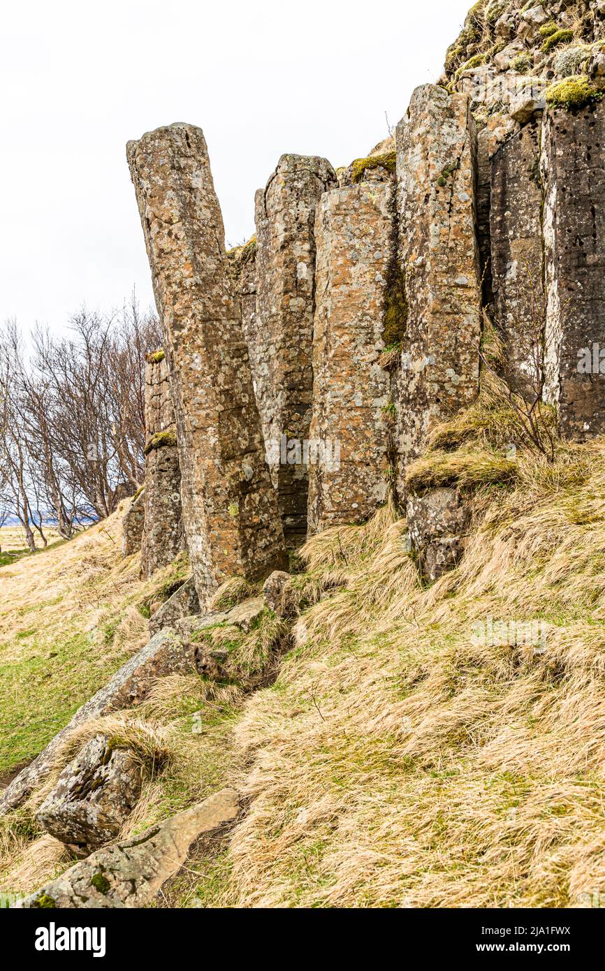 The Dverghamrar Dwarf Cliffs are a natural monument in Iceland. They ...