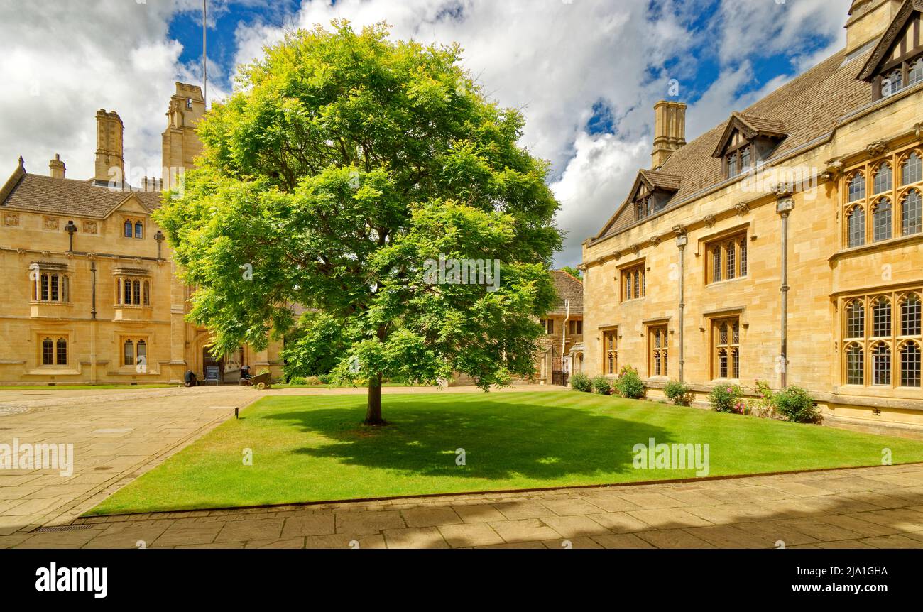 OXFORD CITY ENGLAND MAGDALEN COLLEGE ST JOHNS QUAD THE TREE ON THE ...