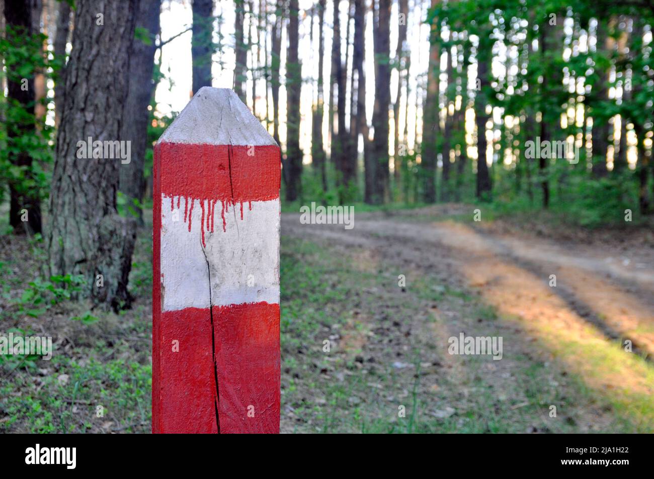 Border post in the forest. Place to copy. Preparation for designers ...
