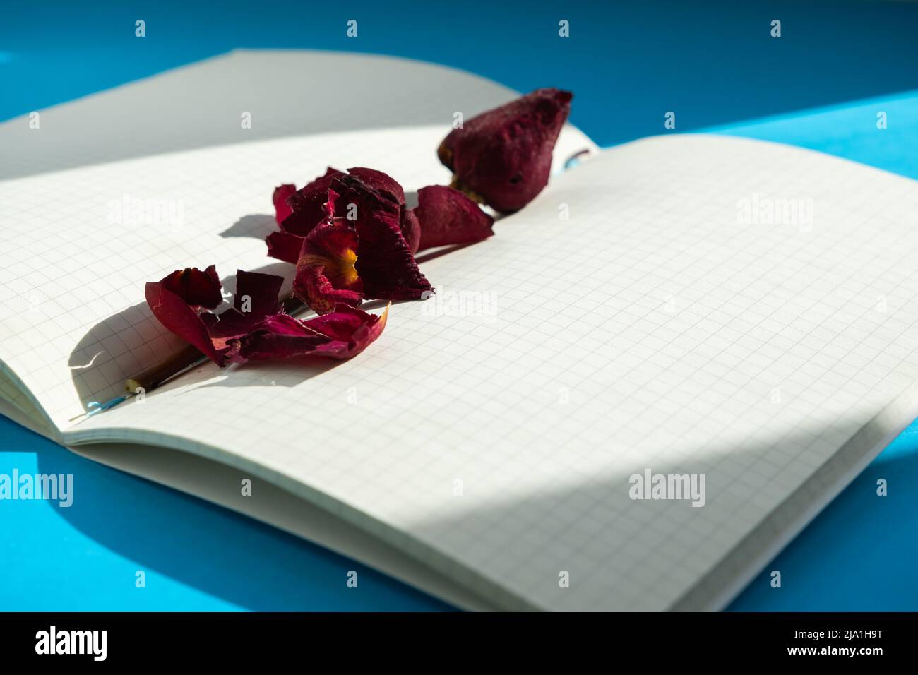 Dry red rose on the pages of an open notebook Stock Photo - Alamy
