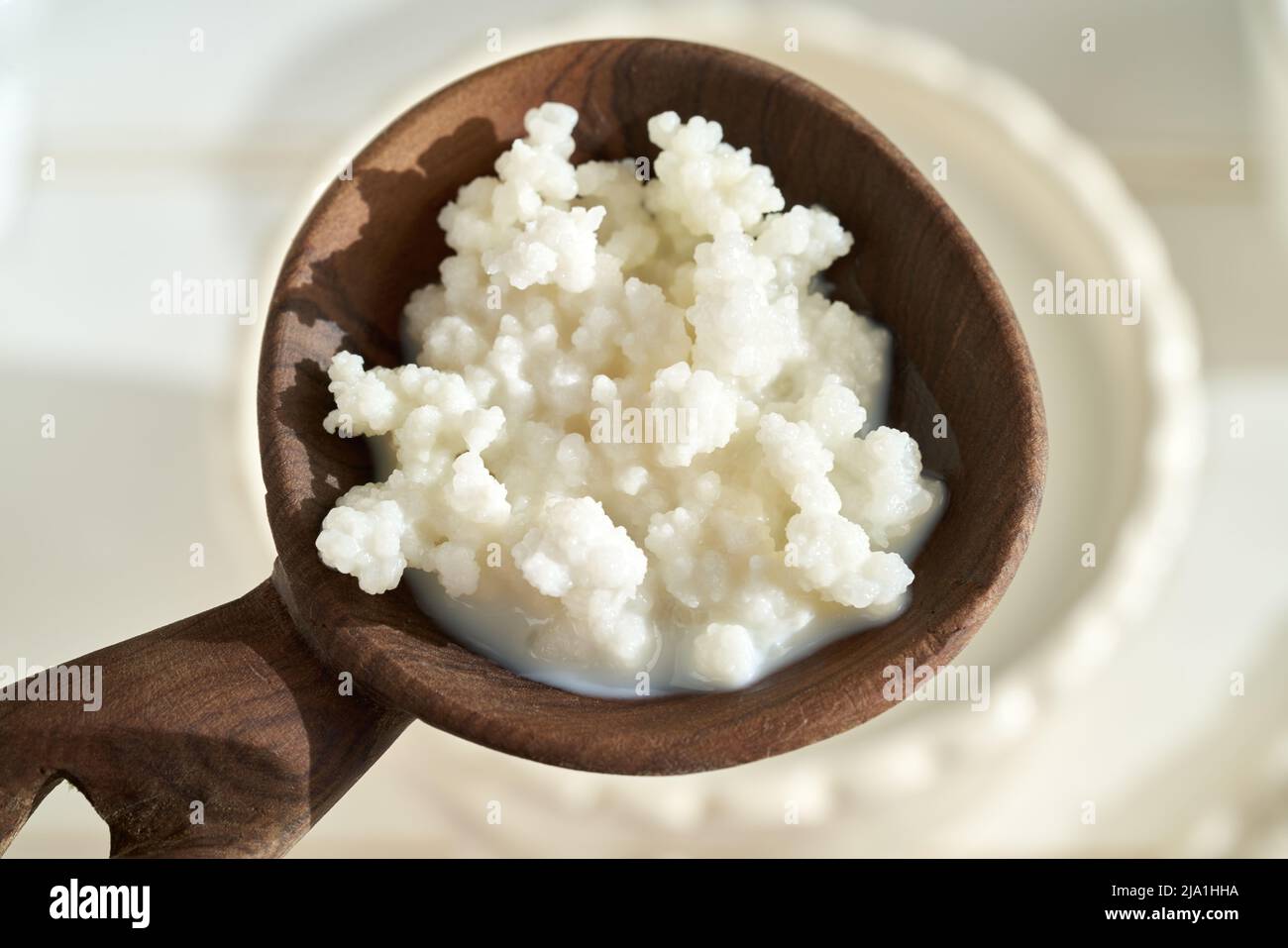 Closeup kefir grains hi-res stock photography and images - Alamy