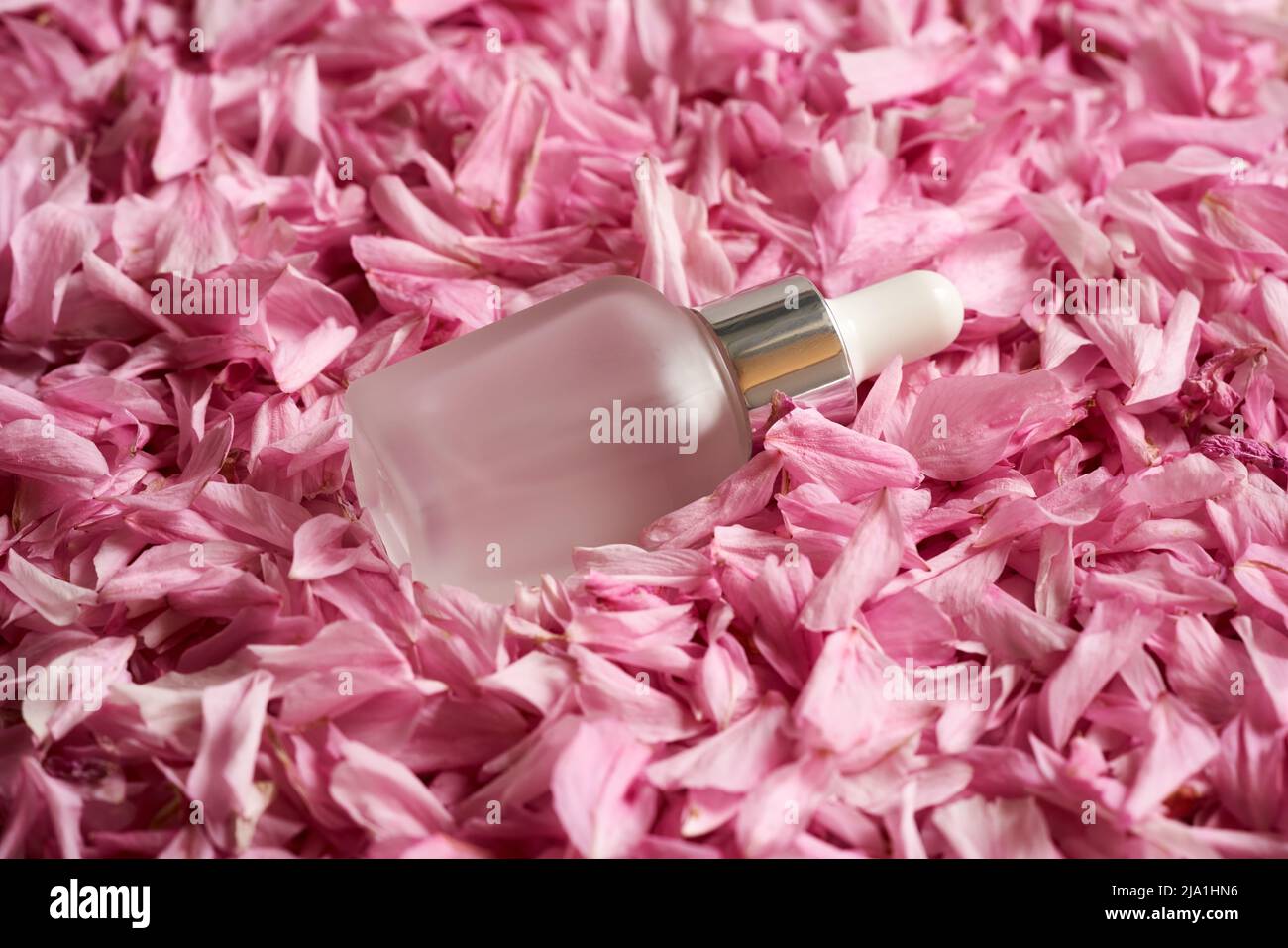 Cherry flower petals hi-res stock photography and images - Alamy