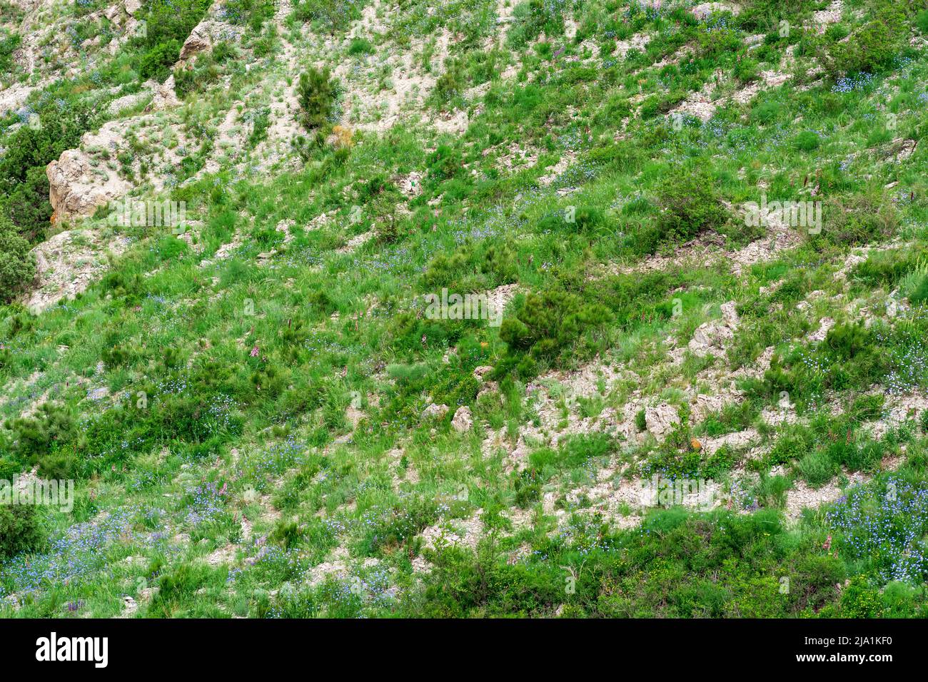 landscape with spring grassland on on the mountain slope Stock Photo ...