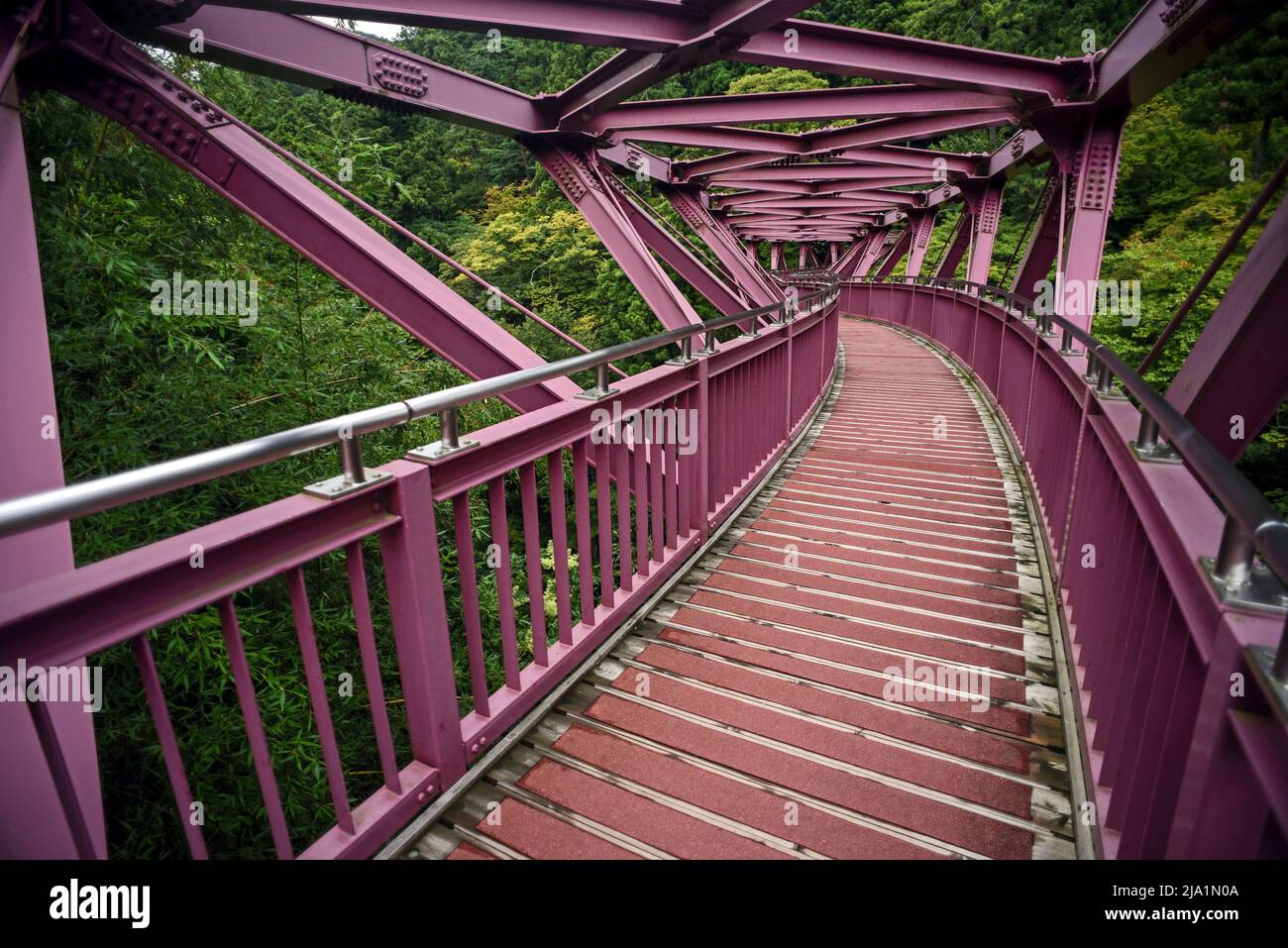 Ayatori Hasi Bridge (Cat¥s cradle), designed by Ikebana master Hiroshi ...