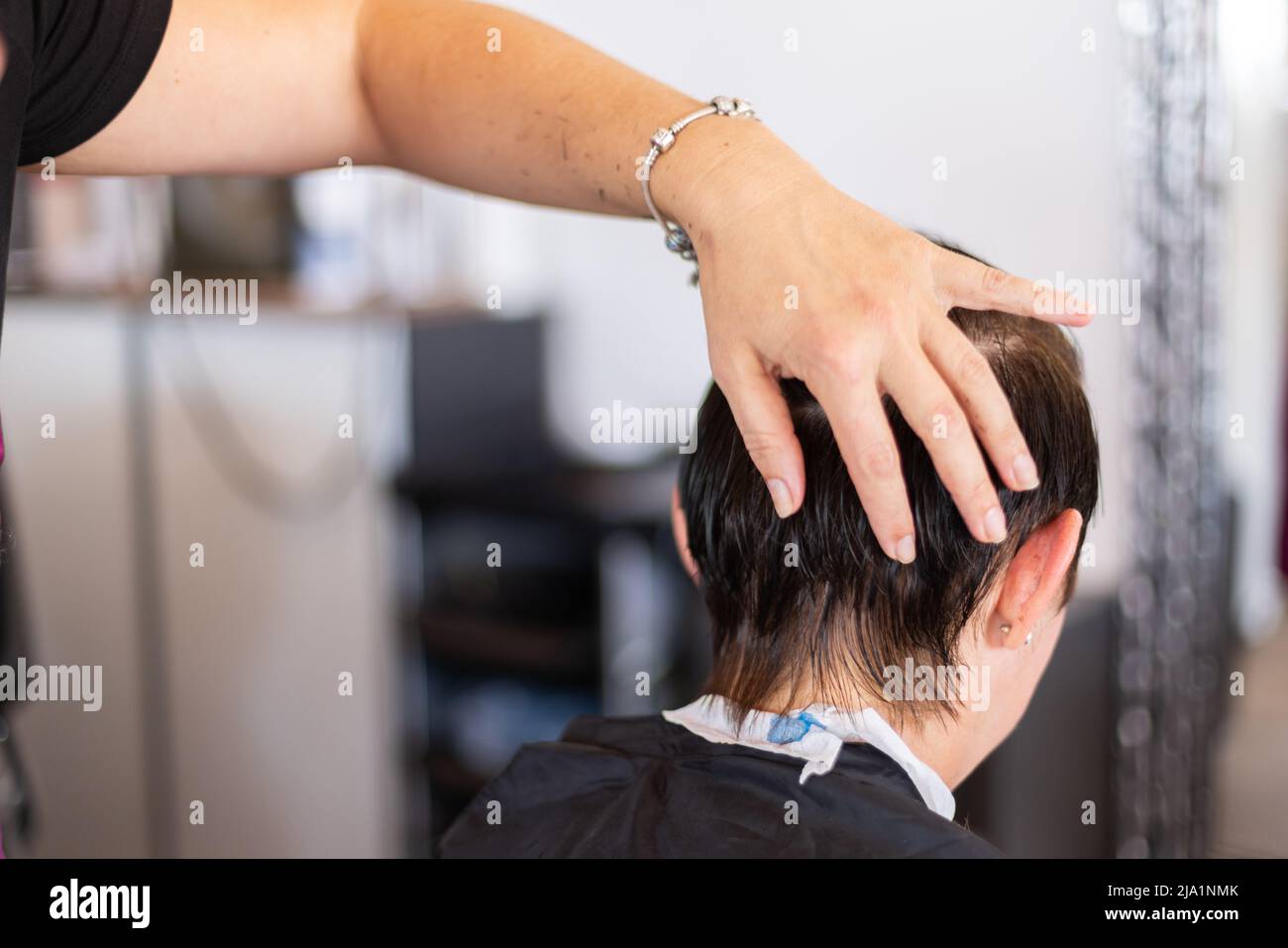 Treat the hair at beauty salon. Hairdresser checking hair of the woman ...