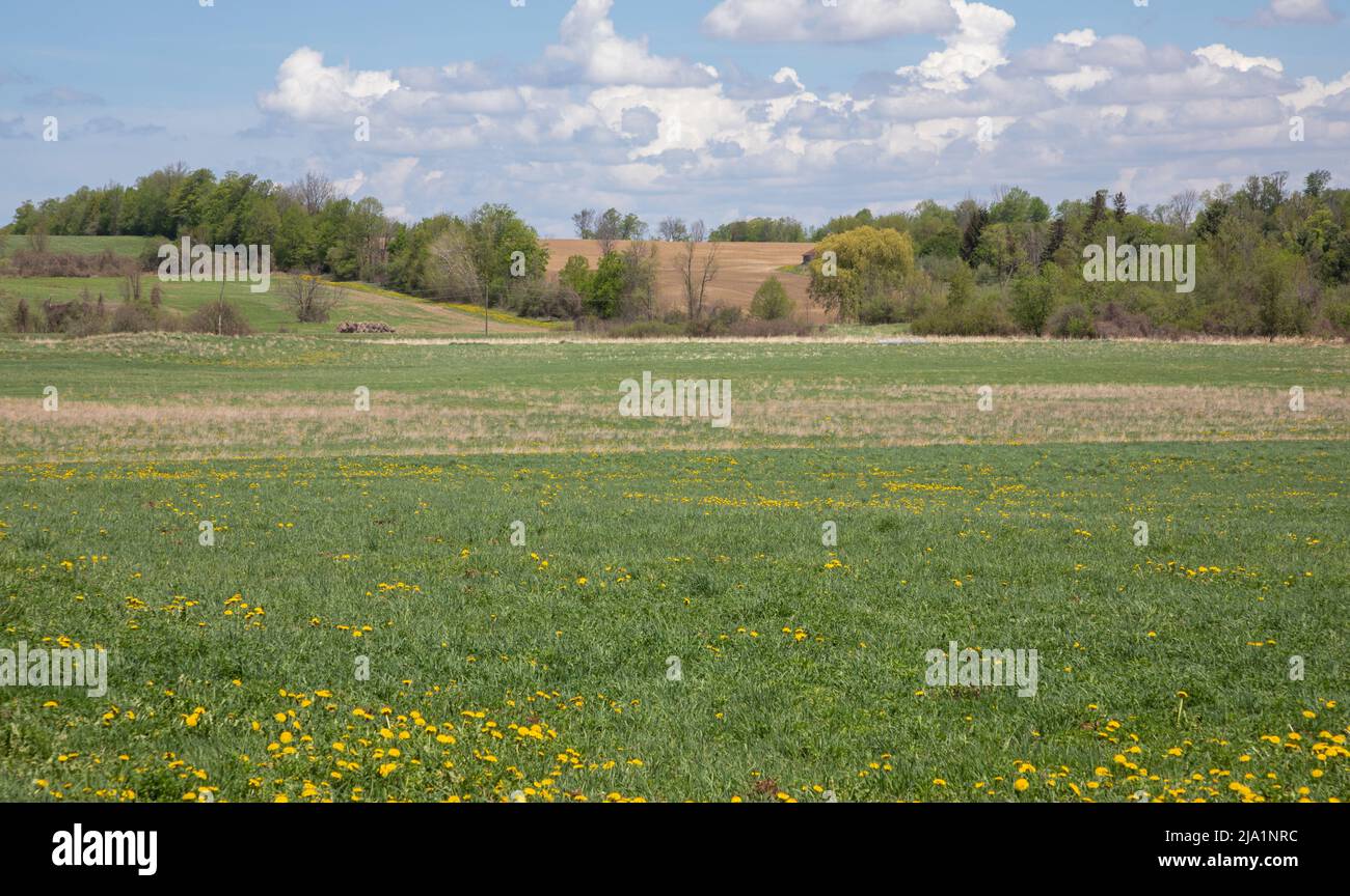 Rural landscape tourist hi-res stock photography and images - Alamy