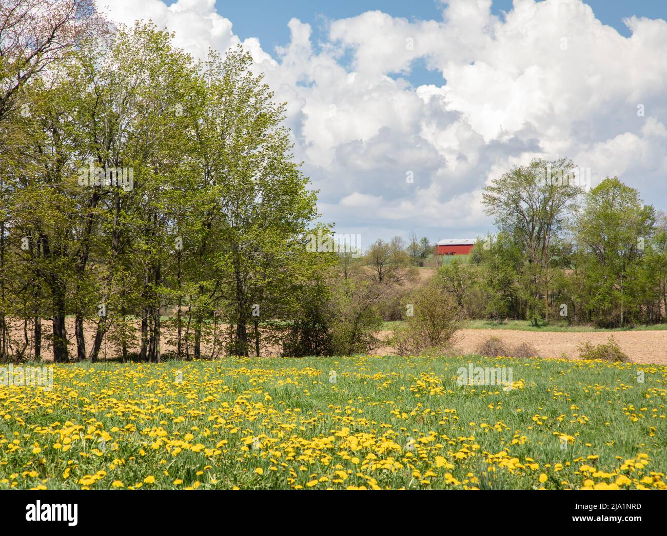 Rural landscape in Ontario in springtime Stock Photo - Alamy