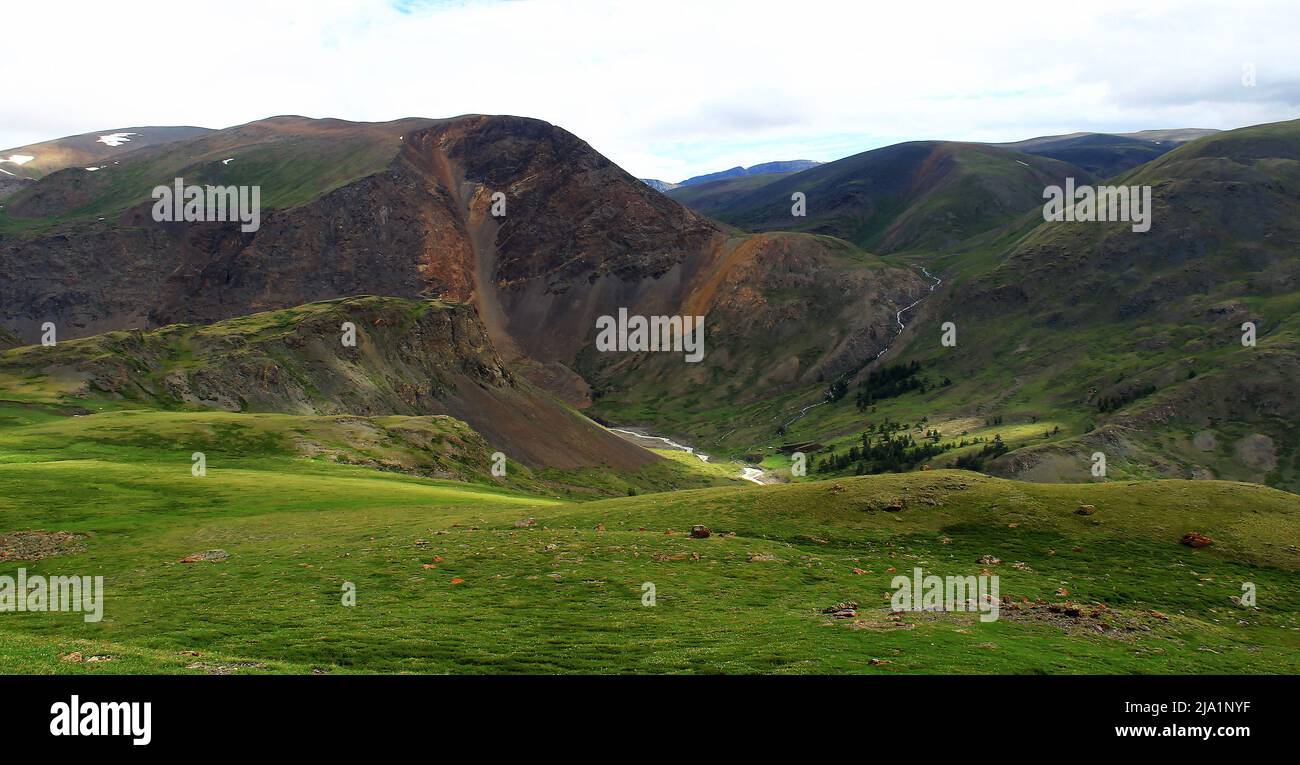 Alpine altai gorge with a stream in summer hi-res stock photography and ...