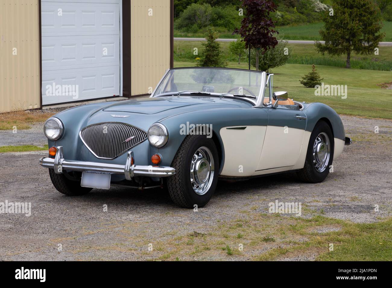 1956 Austin Healey 100 on pavement Stock Photo - Alamy