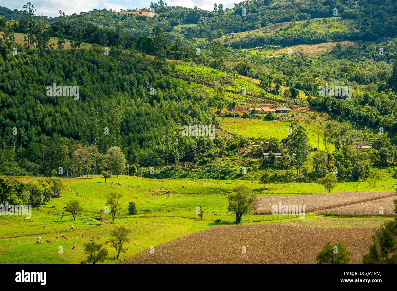 Rural life at Serra Catarinense, Santa Catarina, Brazil Stock Photo - Alamy