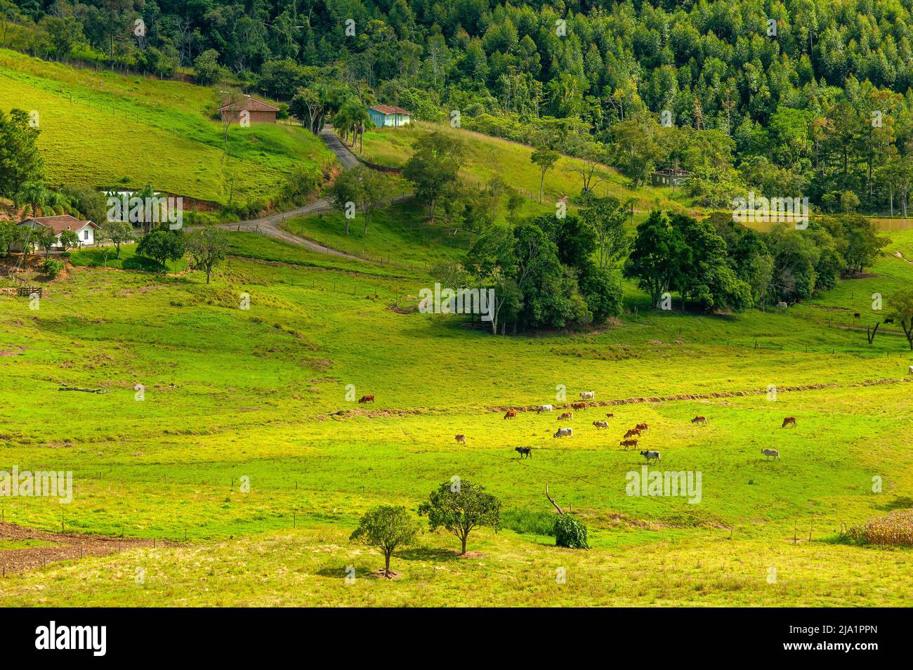 Rural life at Serra Catarinense, Santa Catarina, Brazil Stock Photo - Alamy
