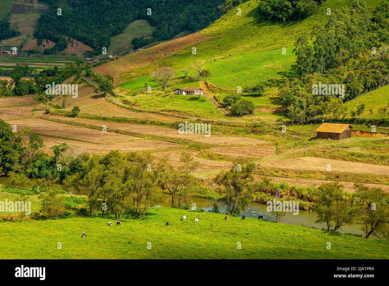Rural life at Serra Catarinense, Santa Catarina, Brazil Stock Photo - Alamy